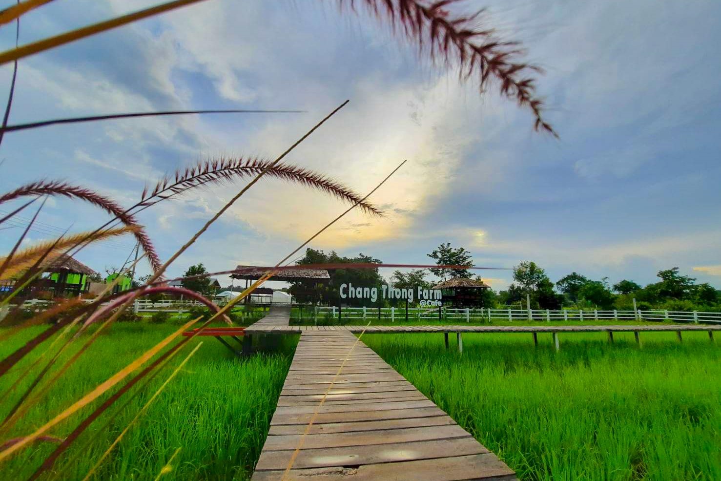 ชั่งทองฟาร์มแอนด์คาเฟ่ - Fun-D